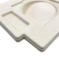 China Recycle Eco Friendly Paper Pulp Packaging Bamboo Pulp Brown Tray Customized Service for sale