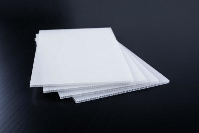 China White Polypropylene Hollow Sheet 2-18mm Thickness UV Resistant Lightweight Plastic Board for Packaging for sale