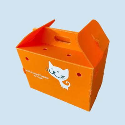 China Orange Corrugated Plastic Box 2-16mm Thickness Custom Shipping Container 1500mm Width for sale