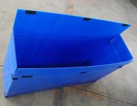 China Folding Plastic Carton Box 600x400x350mm PP Hollow Sheet with Velcro for sale
