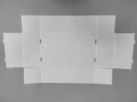 China White Custom Corrugated Plastic Box with 50 lbs Weight Capacity and 2mm-20mm Thickness Options for sale