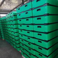 China UV Resistant Plastic Shipping Box with 50kg Load Capacity - Customizable Corrugated Turnover Crates for sale