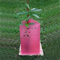 China 3mm Plastic Corrugated PP Hollow Sheet - UV Resistant Tree Guard & Signage Material with Custom Sizes up to 1500mm for sale