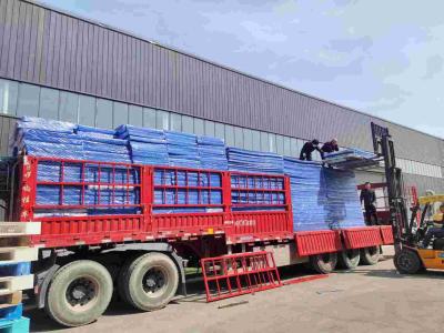 China Custom Plastic Hollow Sheet Pallets 2-20mm Thickness Waterproof Corrugated Boards for Industrial Applications for sale