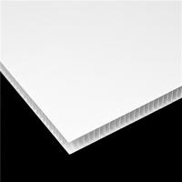 China Customizable Polypropylene Hollow Sheet 2-10mm Thickness with Waterproof & UV Protection for Signage and Packaging for sale