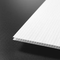 China Waterproof Polypropylene Hollow Sheet for Durable and Lightweight Packaging for sale