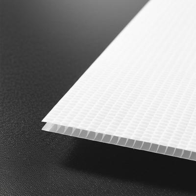 China Waterproof Polypropylene Hollow Sheet for Durable and Lightweight Packaging for sale