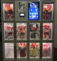 China Haloo vending machine supplier double-layer glass anti fog stainless steel fully automatic 10 lockers flower vending machine for sale