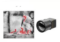 China LWIR Thermal Camera Module With Temperature Measurement Range of -20℃~150℃/0~550℃ for sale