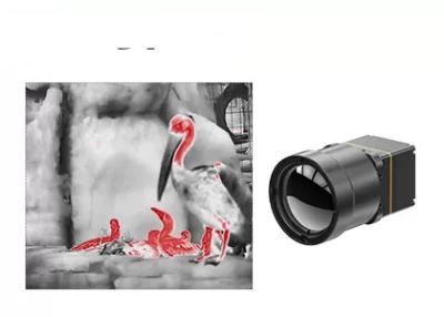China LWIR Thermal Camera Module With Temperature Measurement Range of -20℃~150℃/0~550℃ for sale