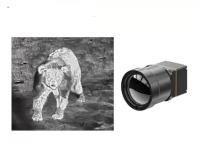 China Compact Design Uncooled LWIR Thermal Imaging Camera Core 640x512 12μm for sale
