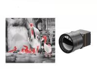China LWIR Thermal Imaging Camera Core With 25Hz/30Hz Frame Rate For ADAS for sale