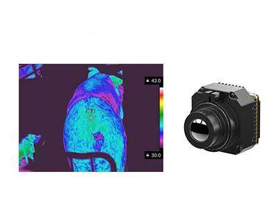 China High Sensitivity Infrared Thermal Camera Module Core NETD <30mk for sale