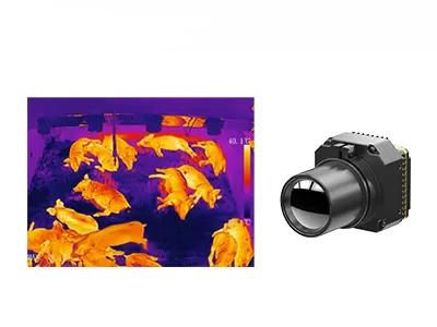 China Uncooled Infrared Thermal Camera Module Core 25Hz 30Hz for  Payloads for sale
