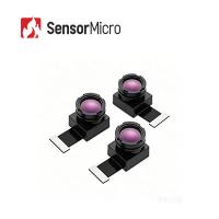 China Uncooled LWIR Thermal Security Camera Module with 256x192 Resolution, 12μm Pixel Pitch, and Focus Free Design for sale