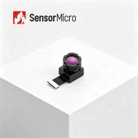 China LWIR 256x192 Resolution 12μm Pixel Pitch Focus Free Infrared Camera Module for Security for sale