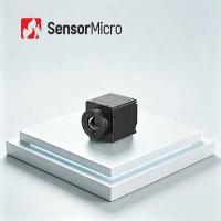 China 384x288 Resolution 12μm Pixel Pitch LWIR Thermal Camera Module with 50Hz Frame Rate for Observation for sale