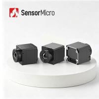 China 384x288 Resolution 12μm Pixel Pitch LWIR Thermal Camera Module for Security and Rescue for sale