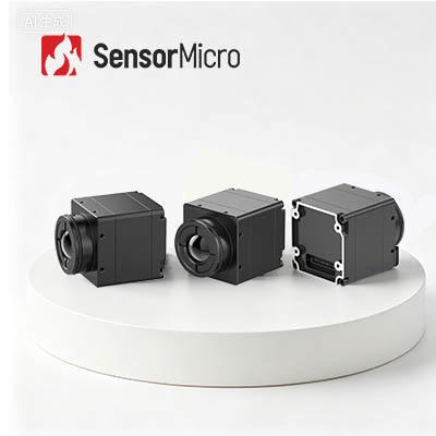 China 384x288 Resolution 12μm Pixel Pitch LWIR Thermal Camera Module for Security and Rescue for sale