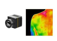 China 384x288 Infrared Thermal Module 17um For Measuring Human Skin Temperature for sale