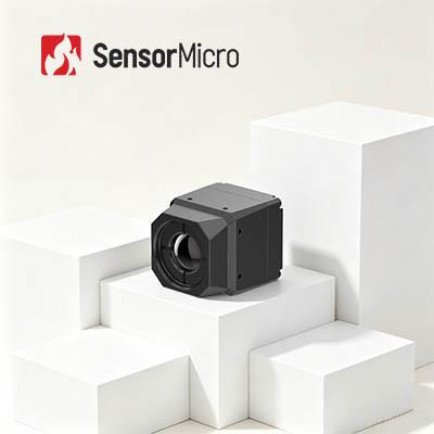 China 384x288 Resolution 12μm Pixel Size Uncooled LWIR Thermal Imaging Module for Security Cameras for sale