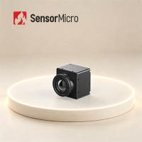 China 384x288/17μm Thermal Camera Core with ±2℃ or ±2% Temperature Accuracy for Industrial Applications for sale