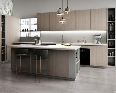China Luxurious Modular Pantry Cabinets Vertical Door Panel White Quartz Stone Countertop for sale