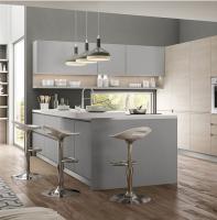 China Modern Counter Kitchen Cabinets Built In Handle Grey Plywood PET Door Panel for sale