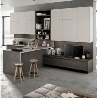 China Sheet Metal Door Kitchen Modular Cabinet Plywood Carcase Quartz Countertop for sale