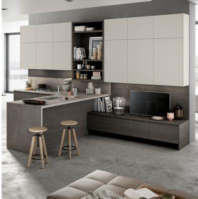 China Sheet Metal Door Kitchen Modular Cabinet Plywood Carcase Quartz Countertop for sale