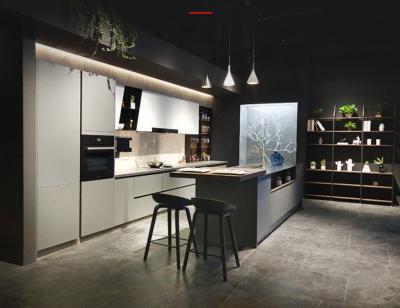 China Nordic SGS Industrial Style Stainless Steel Cabinets modern house cabinets 2.10m for sale