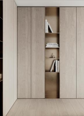 China Laminate Color HDF Bedroom Wardrobe Closets 2000mm*500mm Closet Organizer for sale