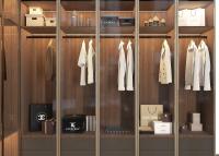 China Single Sided Aluminum Profile Walk In Closet With Glass Doors Storage Systems for sale