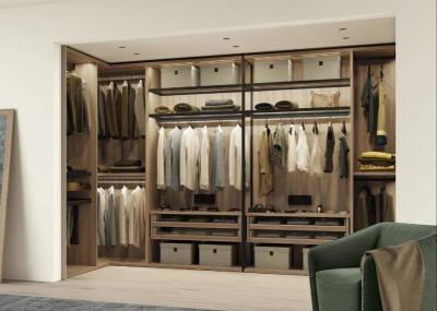 China Particle Board Wall Mounted Bedroom Wardrobe Closets Cabinets With Hanger And Handle for sale