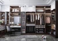 China Blum 6x8 Walnut Walk In Closet Wardrobe Design With Glass Door Lighting SGS for sale