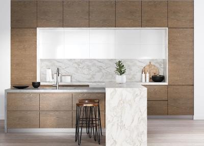 China China supplier cheap kitchen cabinets design with sink and quartz top 2021 new trend pantry cabinets storage for sale