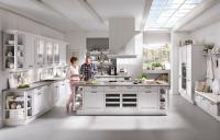 China Blum HPDL Solid Wood Kitchen Cabinets Contemporary European Style For Farmhouse for sale