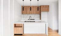 China Wood kitchen cabinets set from Guangdong supplier modern cuisine complete design with quartz stone top and drawers for sale