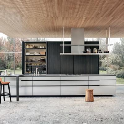 China Blum Modern Modular Kitchen Cabinets for sale
