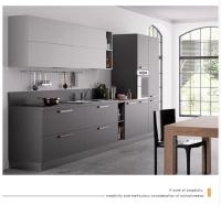 China 16 / 18mm Italian Faction Modern Plywood Kitchen Cabinets Grey And White for sale