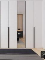 China Aluminum Glass Door Walk In Wardrobe Cabinets With Hanging Place and Mirror for sale