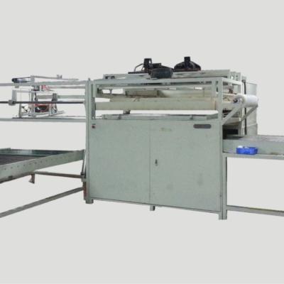 China 2mm Film Thickness 18.5 kw Continuous Vacuum Packaging Machine Vertical for sale