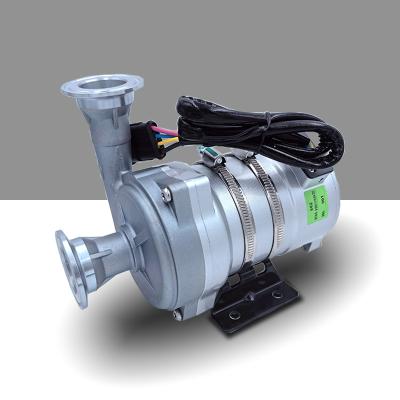 China High Efficiency Coolant Pump 240W 24V DC for BTMS Immersion Cooling Energy Storage Server for sale