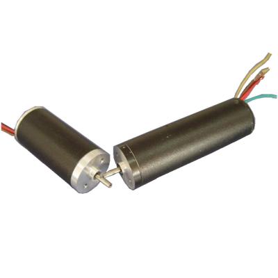 China 22mm Round Brushless DC Motor 24V 4600RPM Smooth Speed Control for Advertising Equipment for sale