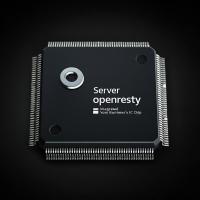 China Server openresty Integrated Circuit IC Chip The Perfect Solution for Your Business's Success for sale