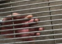 China 358 Anti Climb Wire Mesh with 13x75mm Hole Galvanised Welded Wire Mesh Panels for Security Fencing for sale