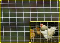 China 1/2''X 1/2'' Stainless Steel Welded Mesh Rolls For Breeding Protection High Strength for sale
