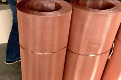 China High Strength Phosphor Bronze Woven Wire Mesh Screen with 2-350 Mesh Count and 0.032-2.5mm Wire Diameter for sale