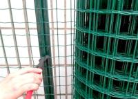 China Iso 9001 2015 Durable 2 Inch Weld Mesh Pvc Coated Outdoor Protection for sale
