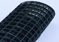 China Plastic Spraying Stainless Steel Welded Wire Mesh with 1/4 Inch - 6 Inch Mesh Size and 0.5mm-6.0mm Wire Diameter for sale